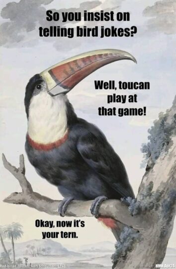 40 Funniest Animal Memes That'll Make Your Week Instantly Better (April ...