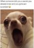 40 Funniest Animal Memes That'll Make Your Week Instantly Better (April ...