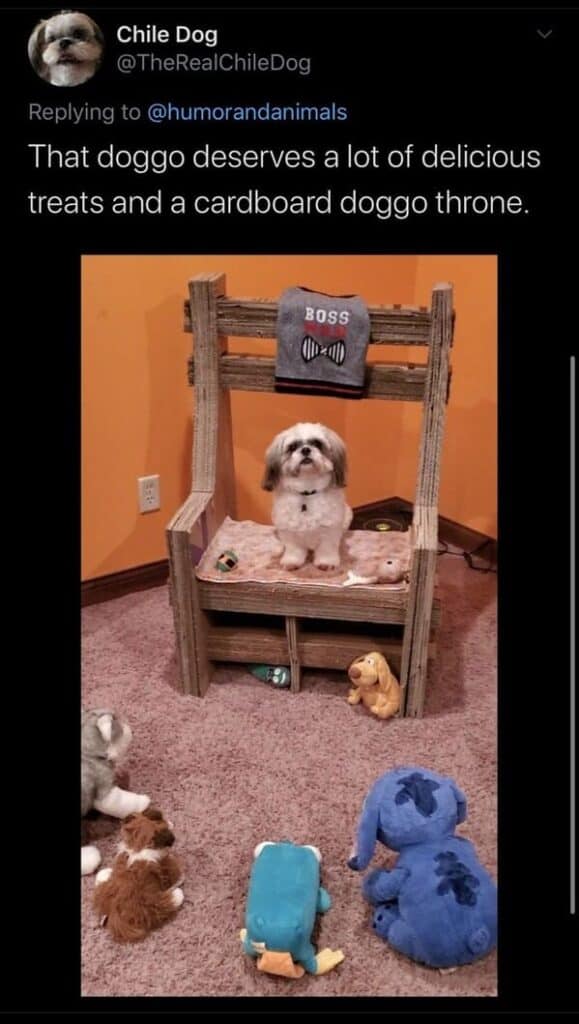 45 Hilarious Dog Memes To Make Your Tail Wag This Week (April 29, 2024)