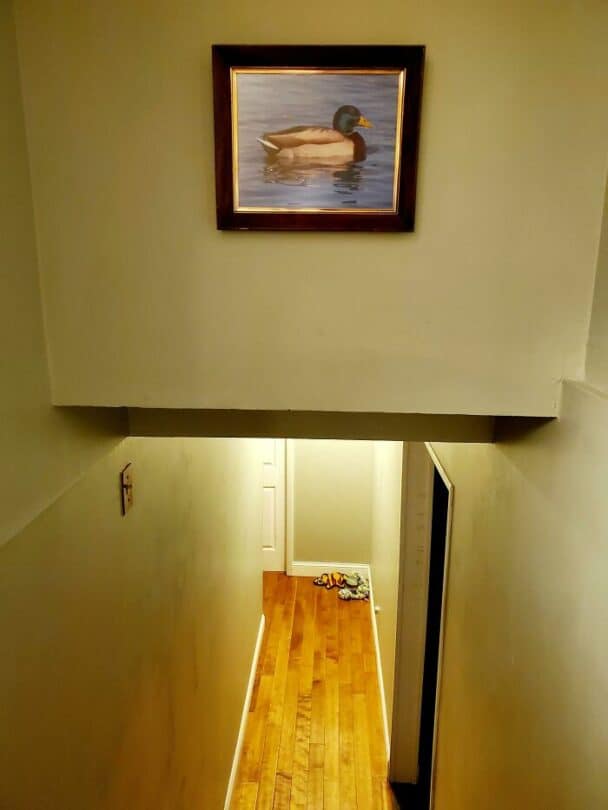 35 Home Decor Ideas For People With A Sense Of Humor As Strong As Their ...