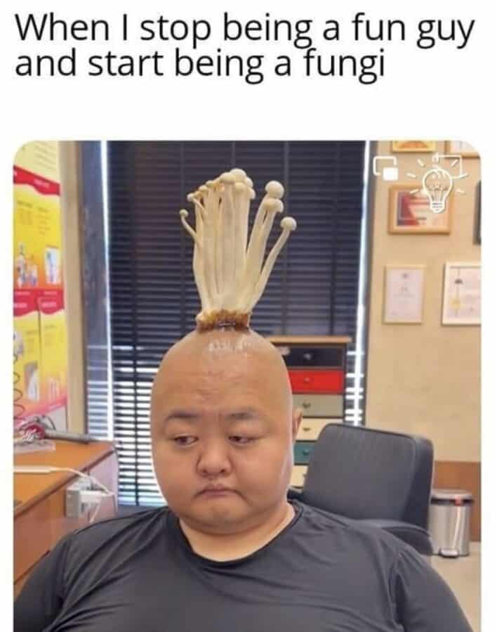 37 Funniest Imgur Posts That Had Us Laughing This Week (April 5, 2024)