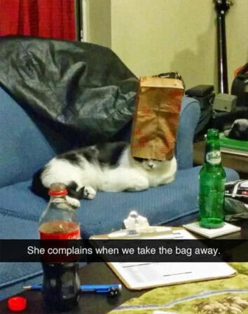 50 Funniest Snapchats That Prove Pictures Are Funnier When They Disappear