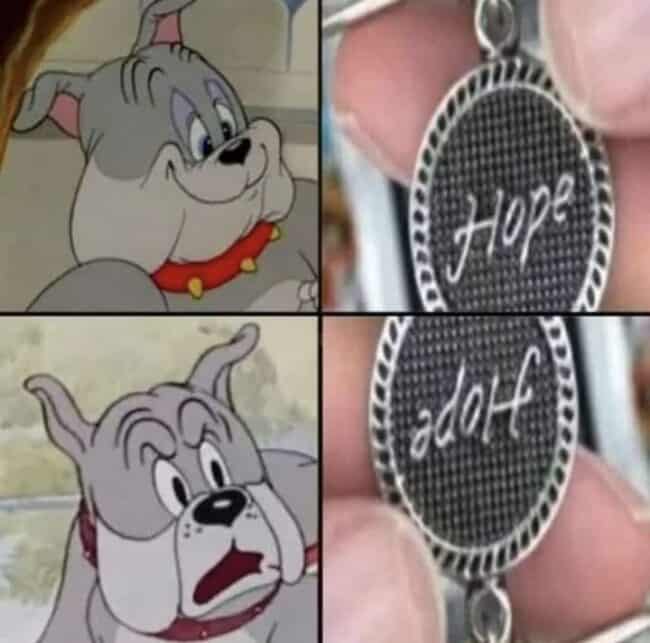 37 Blursed Images That Fall Somewhere Between Cursed And Blessed