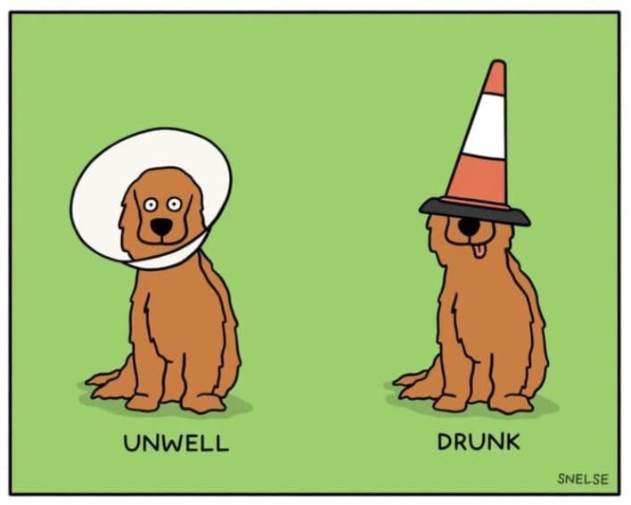 36 Clever Comics From Hilarious Cartoonist Steve Nelson