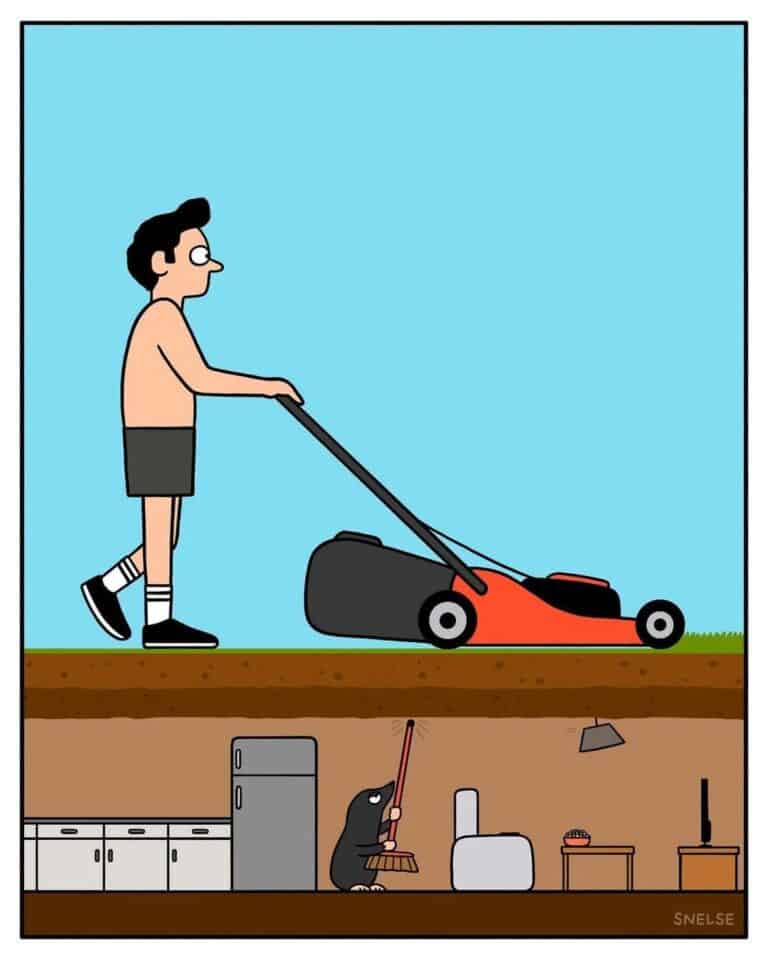 36 Clever Comics From Hilarious Cartoonist Steve Nelson