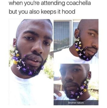30+ Funny Coachella Memes For Those Living The Festival Vibes Remotely ...