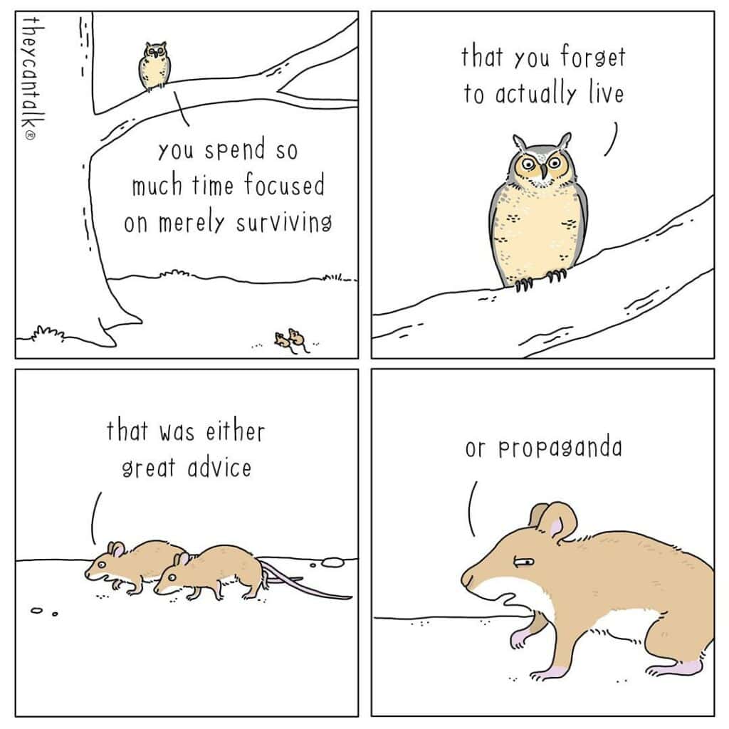 40 Funny Comics About Animals In Relatable Situations From "They Can Talk"