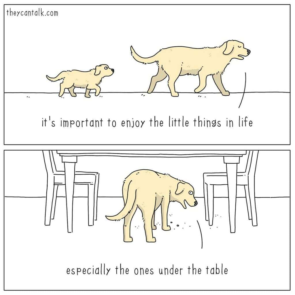 40 Funny Comics About Animals In Relatable Situations From "They Can Talk"