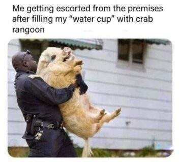 40 Crunchy Crab Rangoon Memes To Satisfy Your Appetite For Humor (April ...