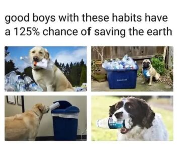 40 Funny Memes For A Sustainable Earth Day Laugh (April 22, 2024)