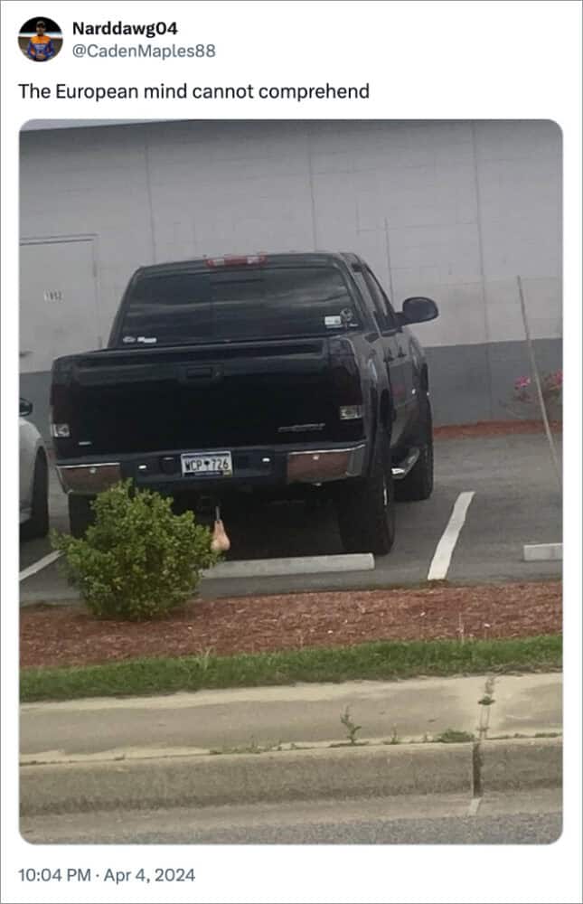 22 Funniest “European Mind Cannot Comprehend This” Memes Flexing ...