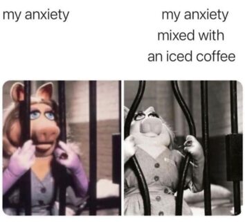 35+ Funny Iced Coffee Memes That Are Cooler Than Your Cold Brew