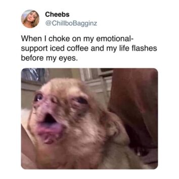 35+ Funny Iced Coffee Memes That Are Cooler Than Your Cold Brew