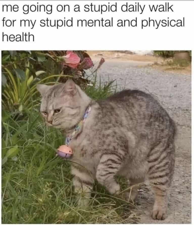 45 Funny Mental Health Memes To Discuss In Therapy