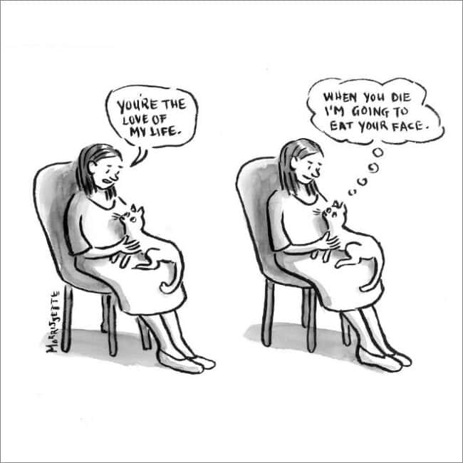 37 Funny Minimalist Comics From Clever Artist Sarah Morrissette