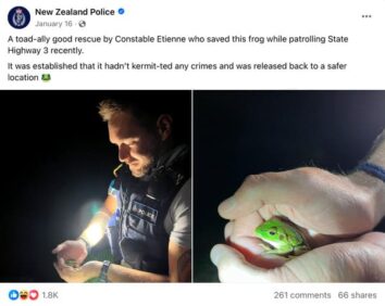25+ Funny Posts From The New Zealand Police Facebook Page That Will ...