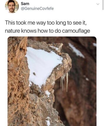 45 Funny Outdoorsy Memes That Every Nature Lover Needs to See (April 19 ...