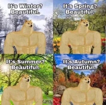 45 Funny Outdoorsy Memes That Every Nature Lover Needs to See (April 19 ...