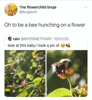 45 Funny Outdoorsy Memes That Every Nature Lover Needs to See (April 19 ...