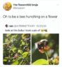 45 Funny Outdoorsy Memes That Every Nature Lover Needs to See (April 19 ...