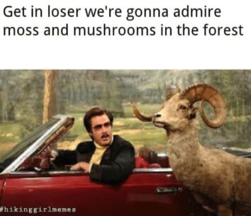45 Funny Outdoorsy Memes That Every Nature Lover Needs to See (April 19 ...