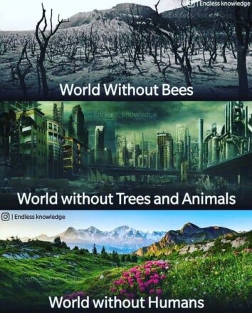 45 Funny Outdoorsy Memes That Every Nature Lover Needs to See (April 19 ...