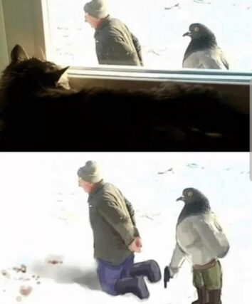 36 Funny Pictures That Go Hard As A Pic Can Possibly Go