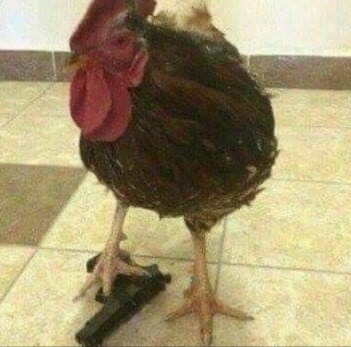 36 Funny Pictures That Go Hard As A Pic Can Possibly Go