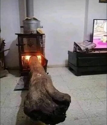 36 Funny Pictures That Go Hard As A Pic Can Possibly Go