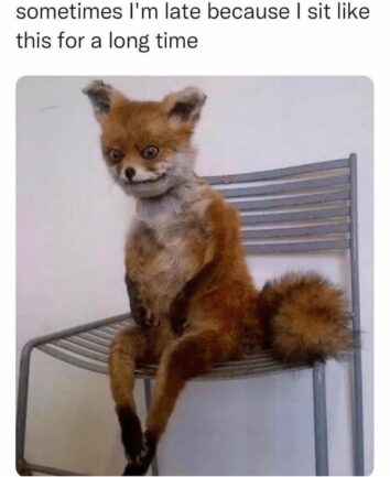 35+ Hilarious Procrastination Memes To Keep You Productively ...