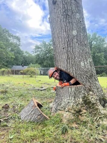 35+ Funny And/Or Random Pictures To Spice Up Your Afternoon Scroll ...