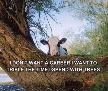 35+ Funny And/Or Random Pictures To Spice Up Your Afternoon Scroll ...