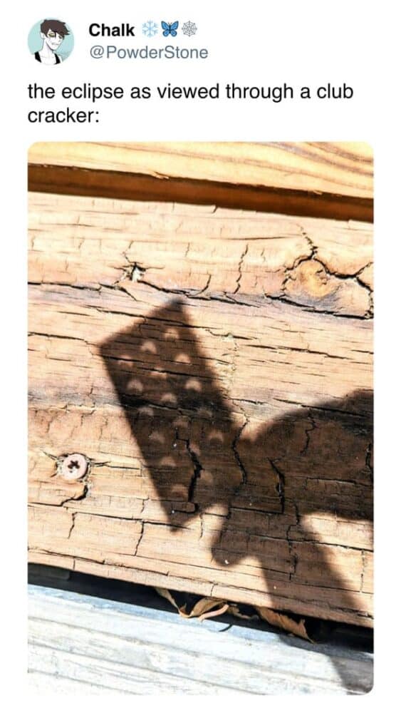 40 Funny Solar Eclipse Tweets That Outshine The Actual Event