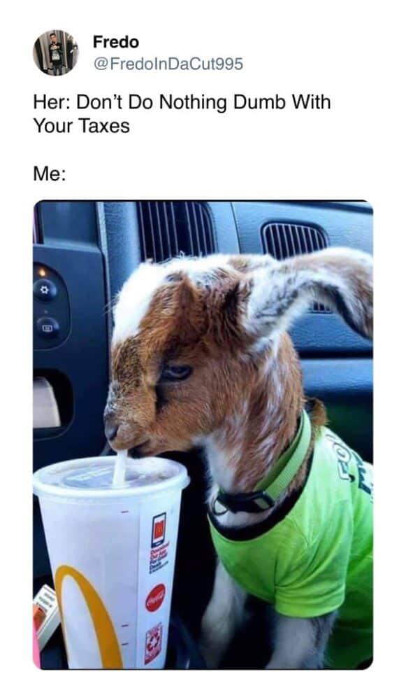 50 Funny Tax Memes That Are Better Than Finding A Surprise Deduction ...