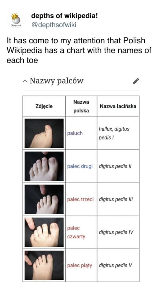 40 Hilarious Out-Of-Context Posts From The Depths Of Wikipedia
