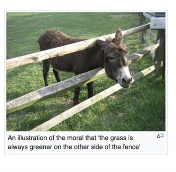 40 Hilarious Out-Of-Context Posts From The Depths Of Wikipedia
