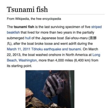 40 Hilarious Out-Of-Context Posts From The Depths Of Wikipedia