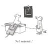 50 Hilarious Single-Panel Comics By Cartoonist Mat Barton