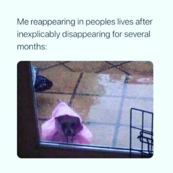 45 Funny Ghosting Memes For Online Daters Exhausted With The ...