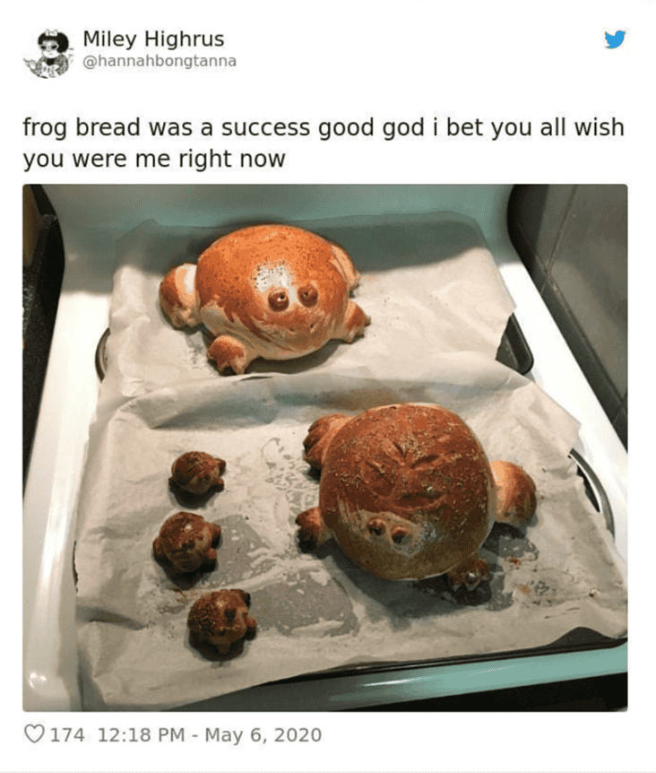 28 Sourdough Memes For New Bakers Feeding Their Starter Like A Tamagotchi