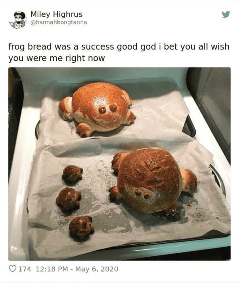 28 Sourdough Memes For New Bakers Feeding Their Starter Like A Tamagotchi