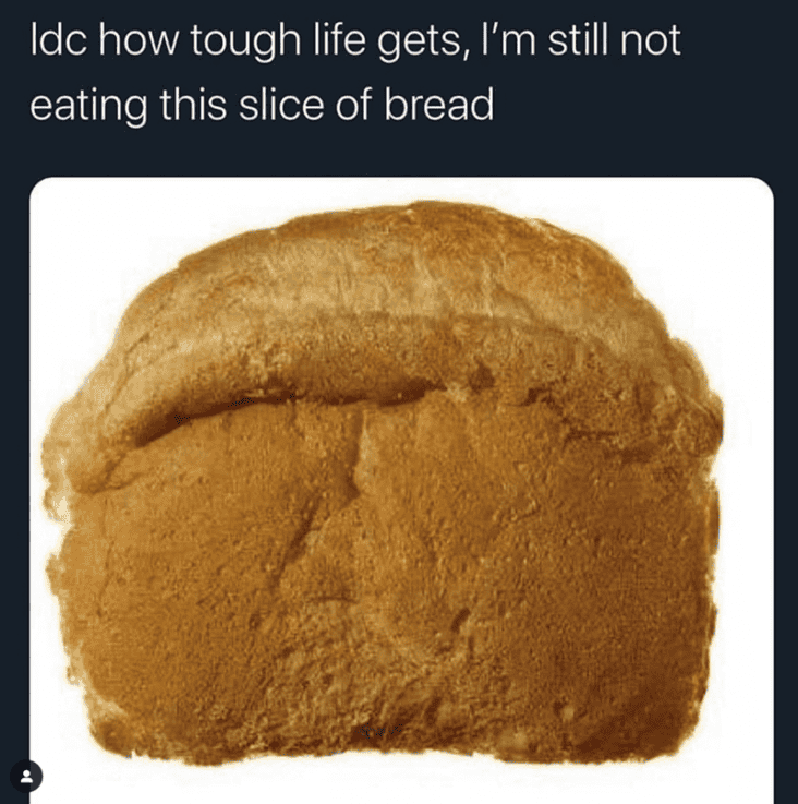 28 Sourdough Memes For New Bakers Feeding Their Starter Like A Tamagotchi