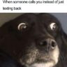 45 Hilariously Relatable Socially Awkward Introvert Memes Shared By ...