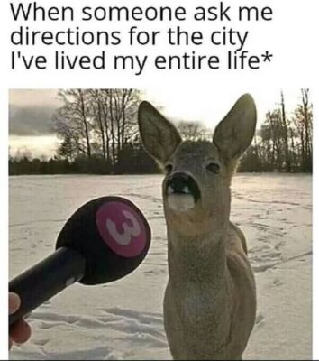 45 Hilariously Relatable Socially Awkward Introvert Memes Shared By ...