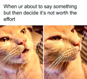 45 Hilariously Relatable Socially Awkward Introvert Memes Shared By ...