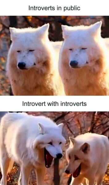 45 Hilariously Relatable Socially Awkward Introvert Memes Shared By ...