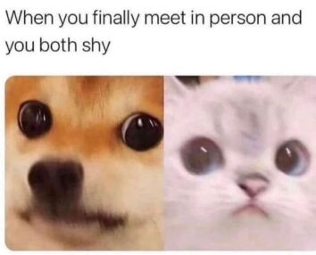 45 Hilariously Relatable Socially Awkward Introvert Memes Shared By ...