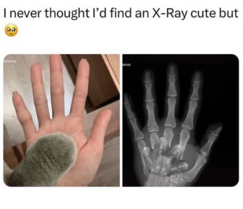 45 Funniest Animal Memes Making Rounds This Week (April 5, 2024)