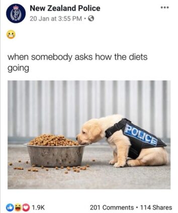 25+ Funny Posts From The New Zealand Police Facebook Page That Will ...