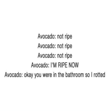 35+ Funny Avocado Memes Ripe For Laughs (April 4, 2024)